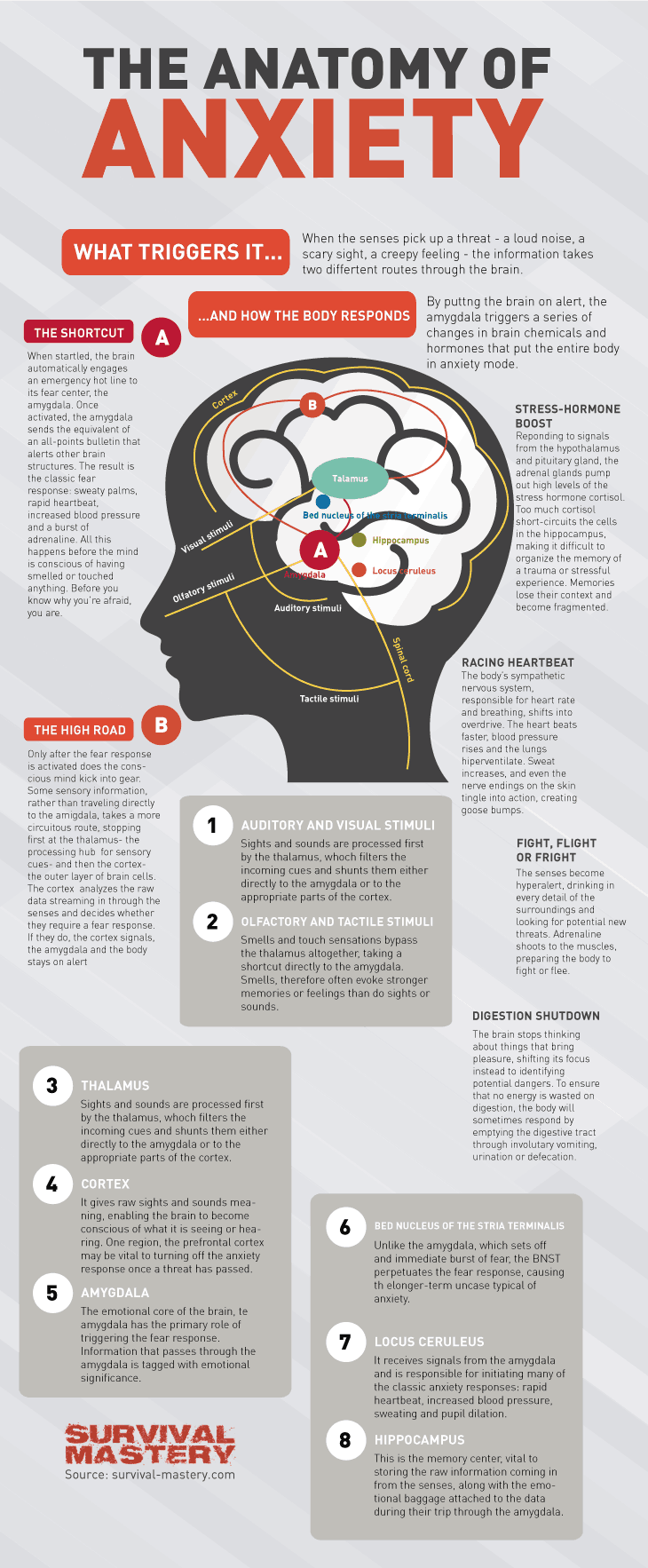 What Is Anxiety Scientia Est Potentia Dawning Truth